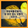 항암에 좋은 음식 떠오른 ‘강황의 모든 것 네이버 블로그